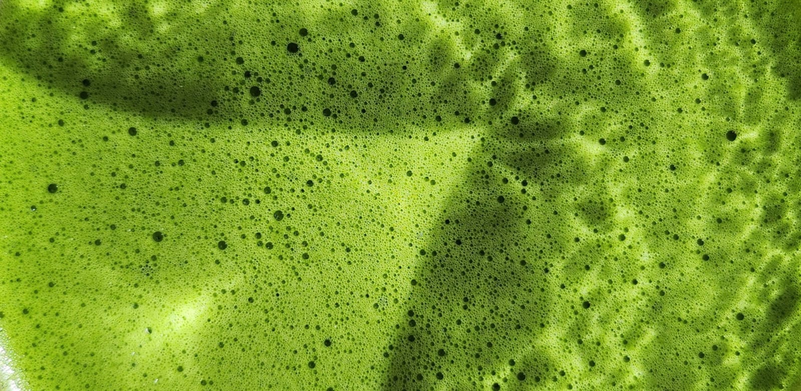 Nos produits – Fuwa Matcha